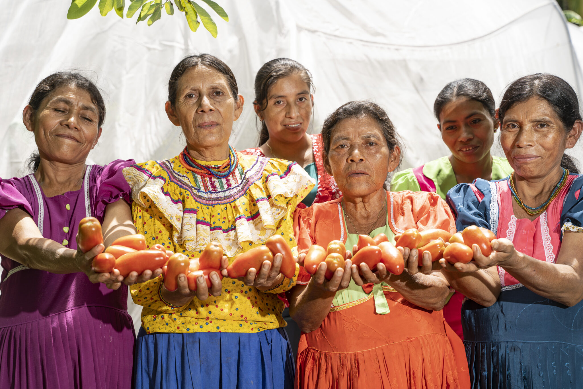 Día Internacional de la Mujer Indígena – Paz y Desarrollo